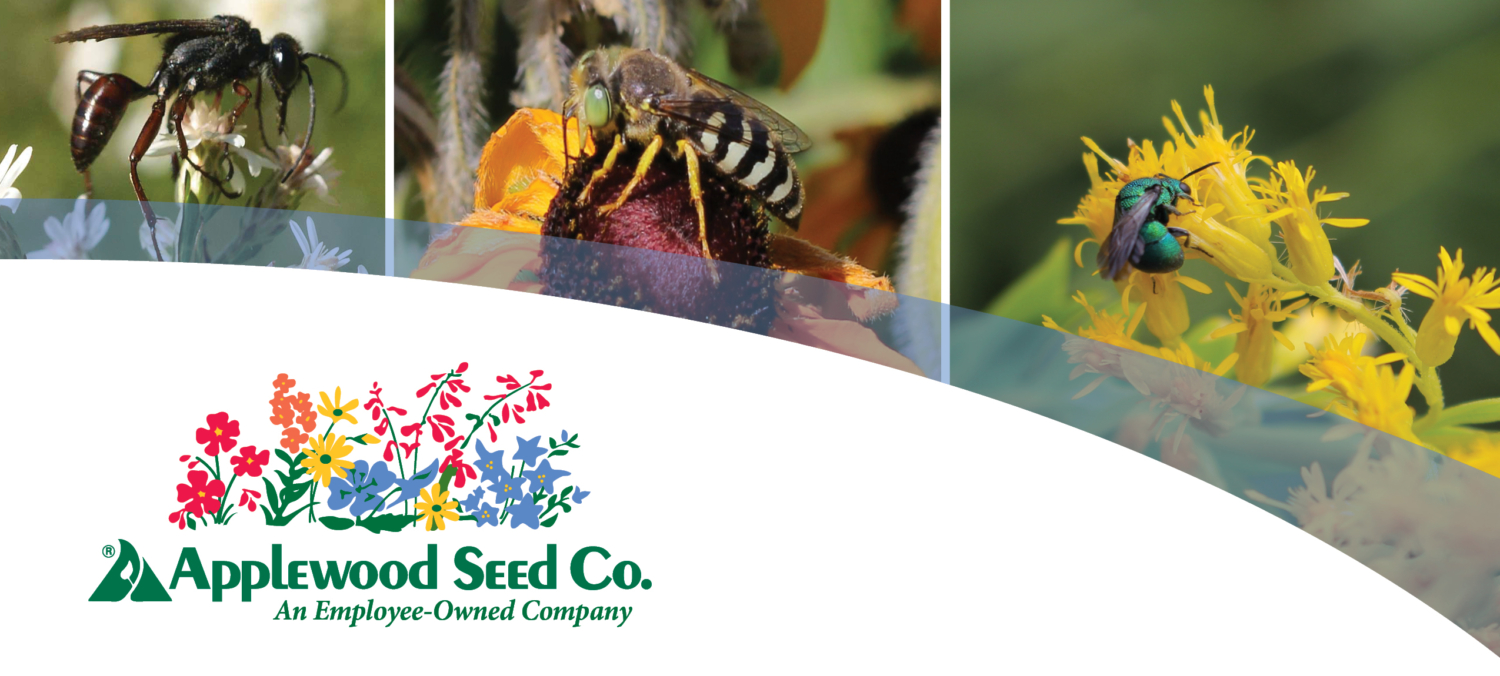 Beneficial Wasps and You | Applewood Seed Company
