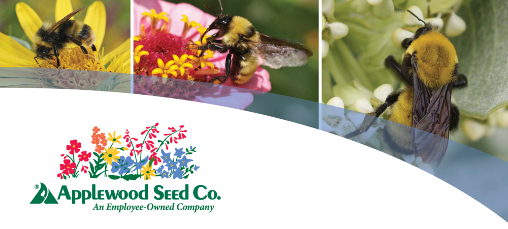 Biodiversity Series on Natives Bees | Native Bee Group: Bumblebees ...