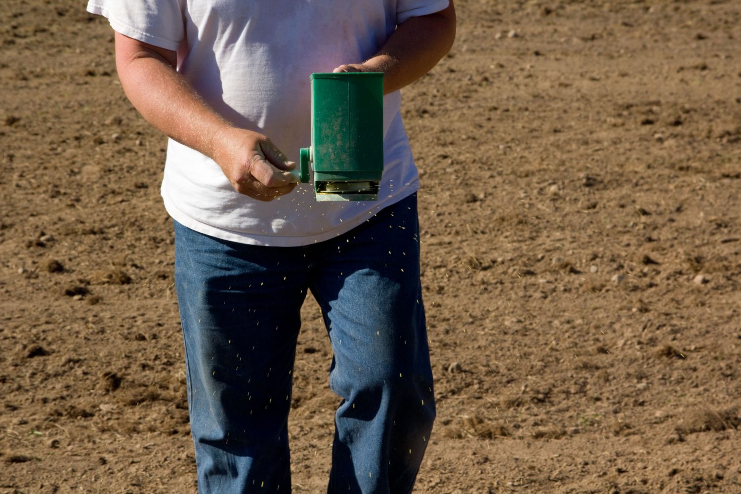 Broadcast Seeding | Applewood Seed Company