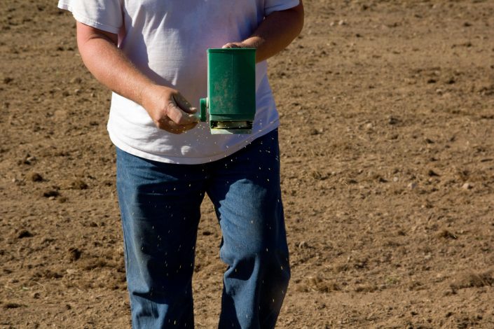 Broadcast Seeding | Applewood Seed Company