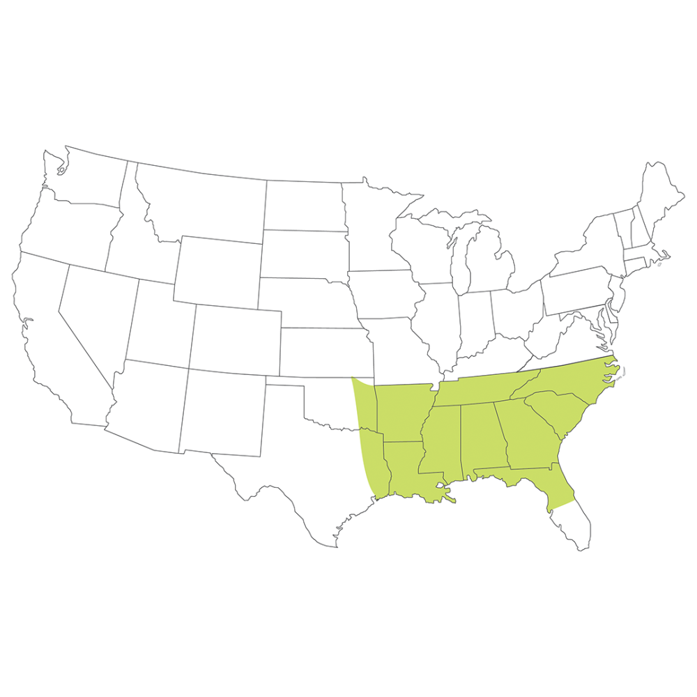 Southeast Native Grass Seed Mixture | Applewood Seed Company